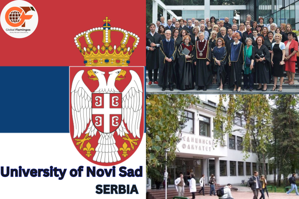 The University of Novi Sad: Leading the Best Transformation 2024