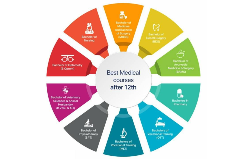 Unveiling Your Medical Journey: Curriculum & Course Structure for a ...